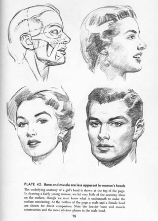 [How to-draw] andrew loomis - drawing the head and hands | PDF