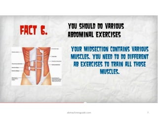 How to Get Flat Stomach & Why Strong Core is Vital