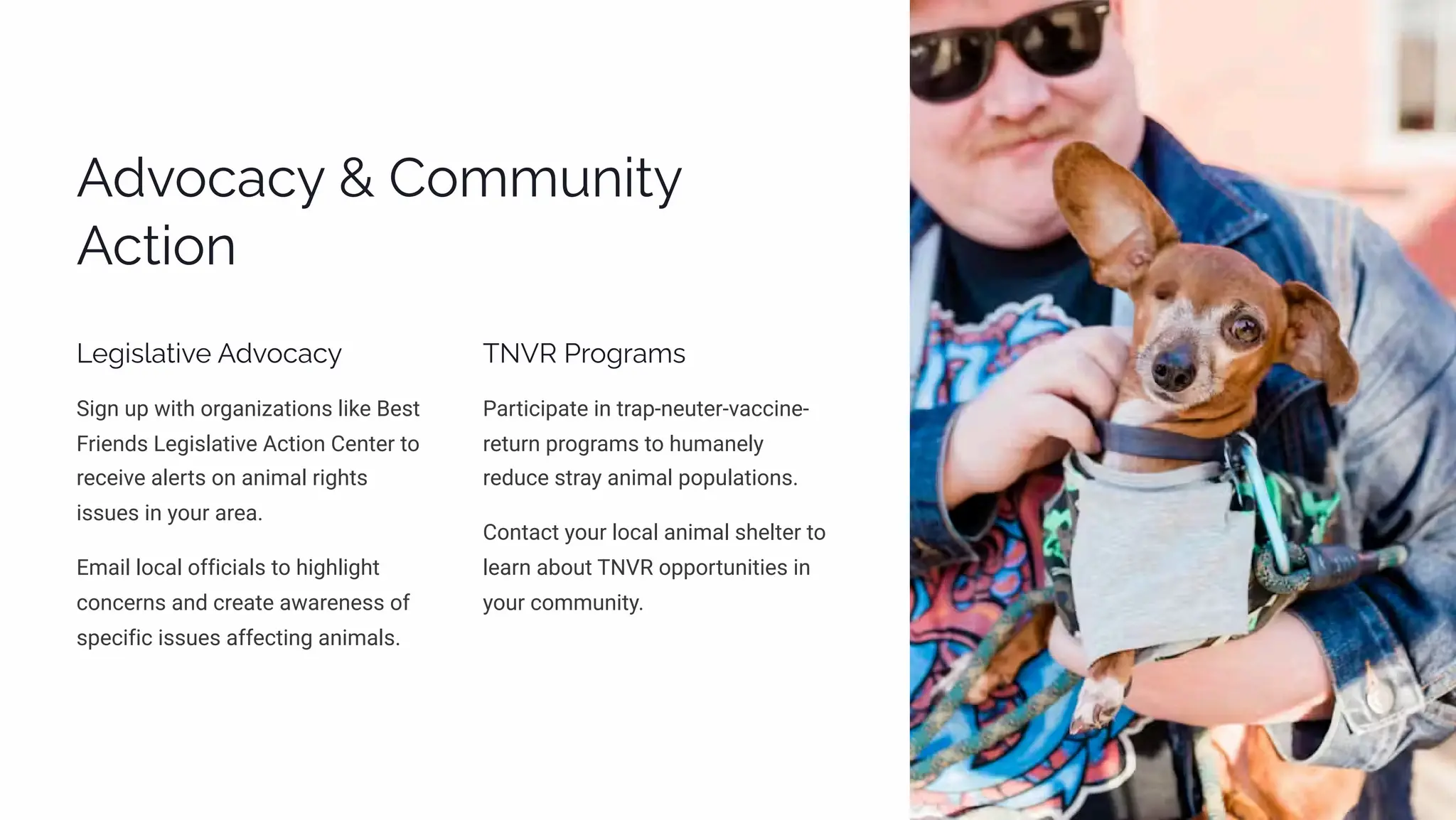 Hampton Luzak shares How to Get Involved in Animal Rescue | PDF