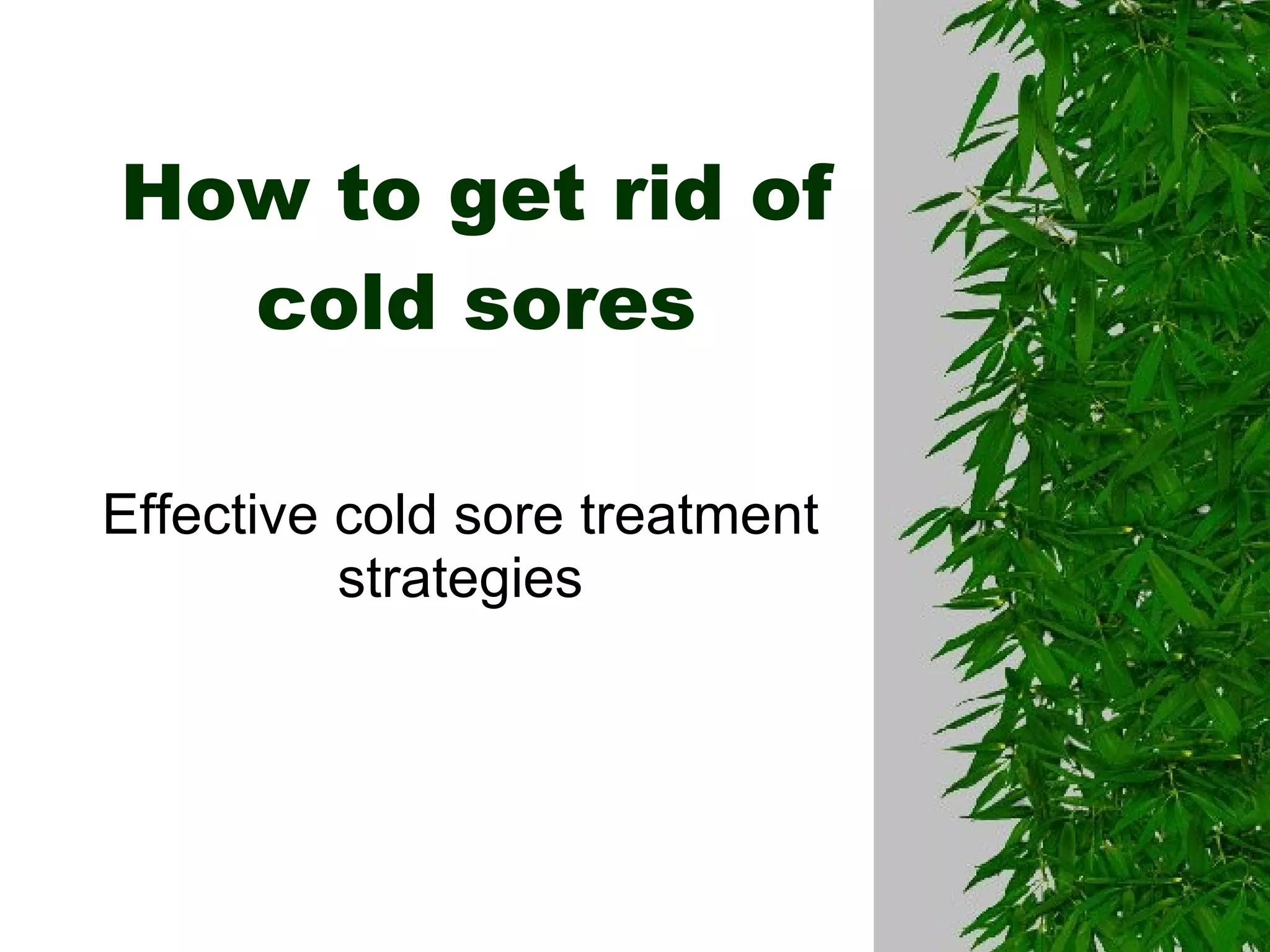 How To Get Rid Of Cold Sores | PPT