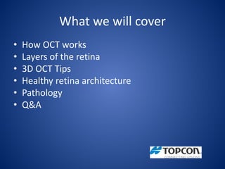 How-to-read-an-OCT-Image.pdf