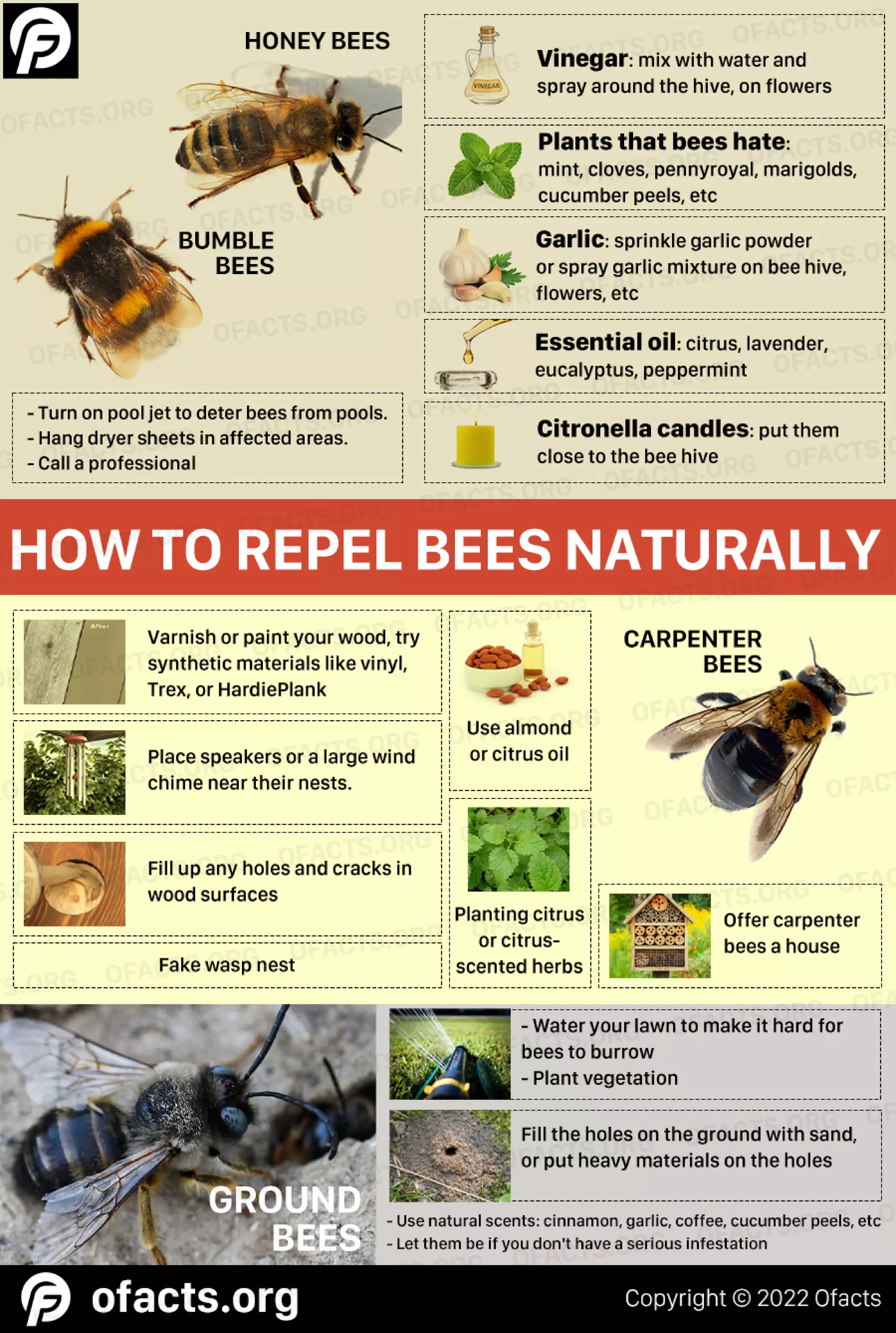 Tips to deter bees naturally | PDF | Perfume and Fragrance | Beauty