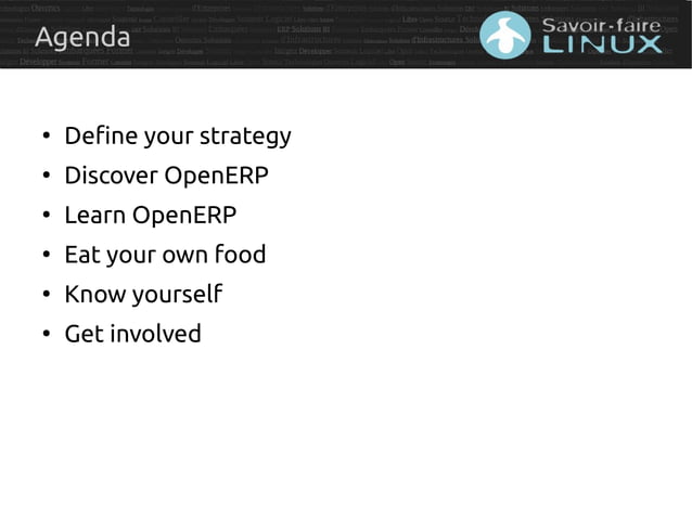 How to start your OpenERP activities with success | PPT