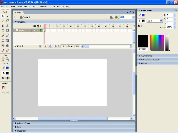 How to use Adobe Flash in Teaching