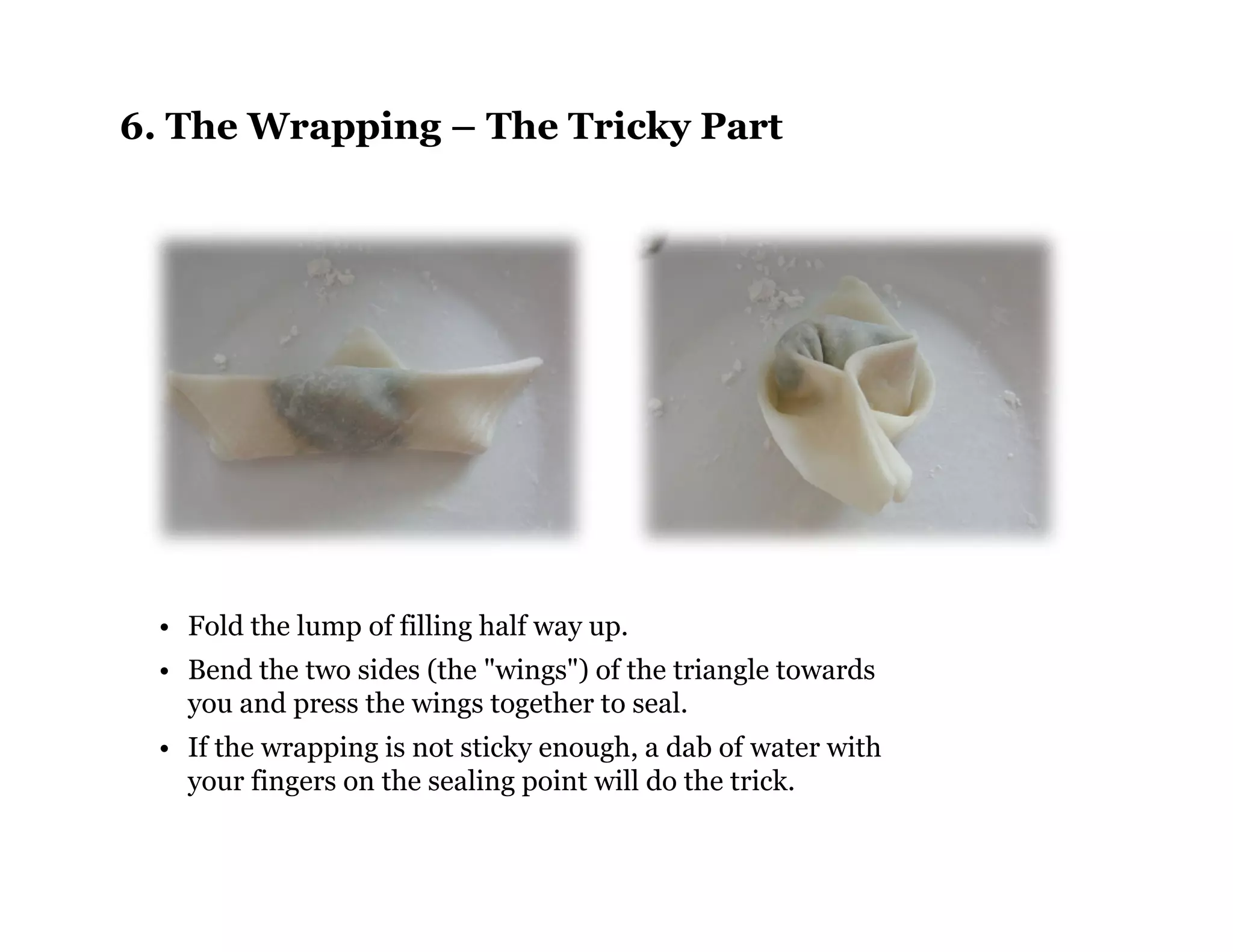 How To Wrap Your Own Wonton | PDF
