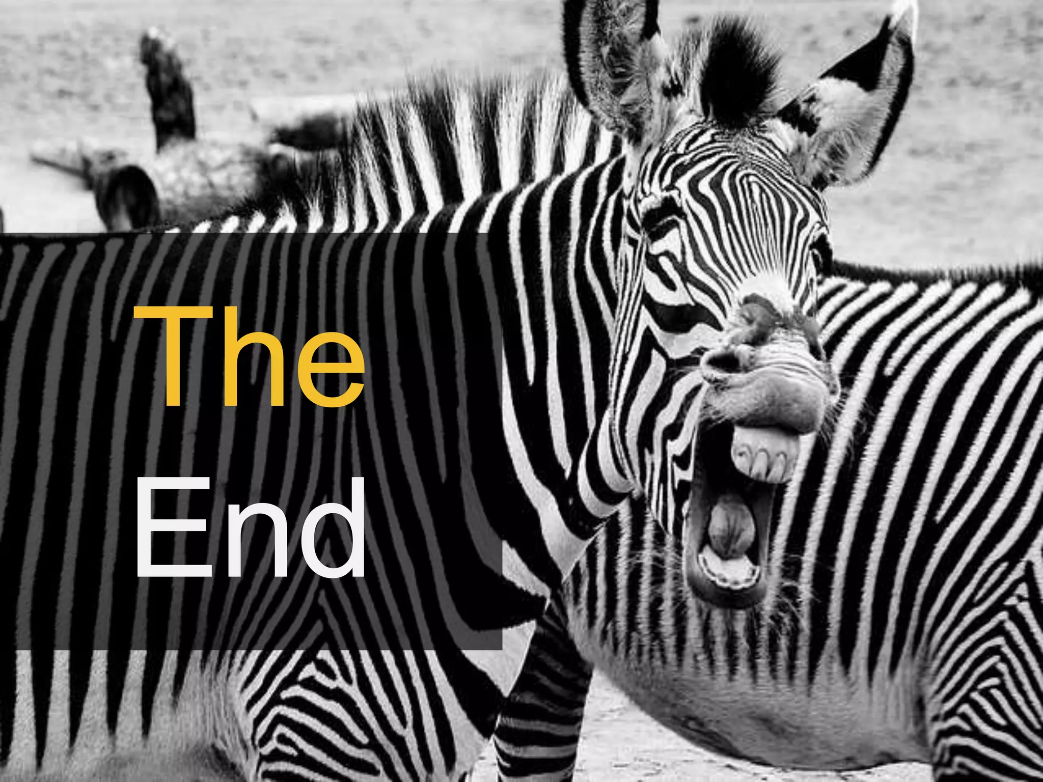 How To Write an FCE Essay | PPTX