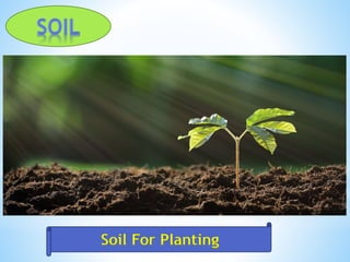 Natural Resources and how we used it | PPTX