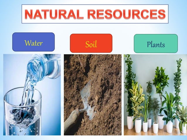 Natural Resources and how we used it | PPT