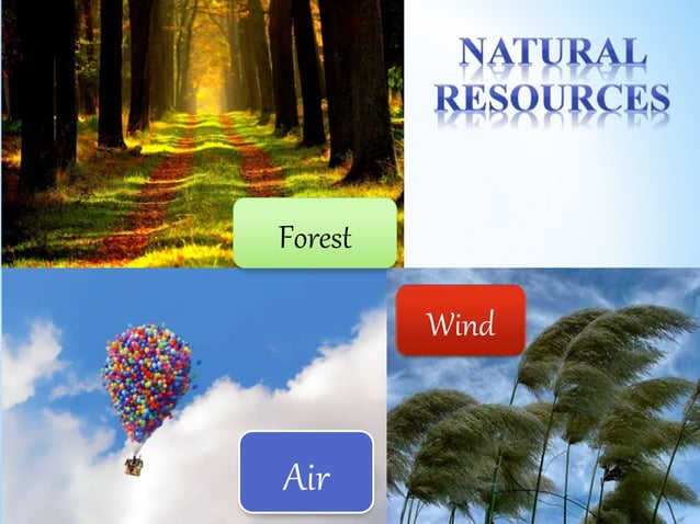 Natural Resources and how we used it | PPT