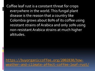 Tree Canopy Cover and Coffee Leaf Rust | PPT