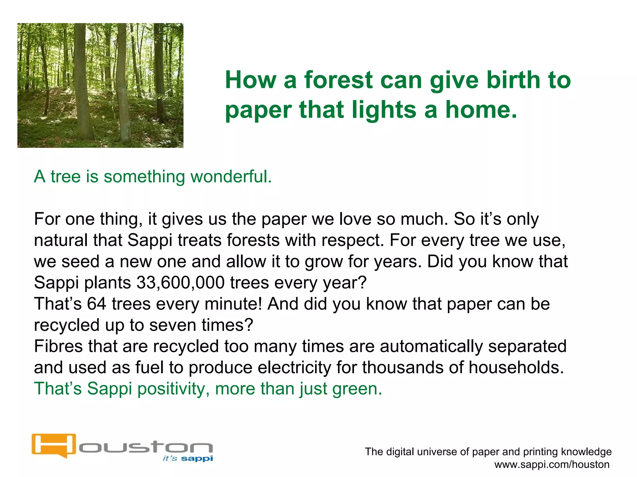 How a forest can give birth to paper | PPT