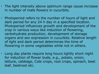 HOW ABIOTIC FACTORS AFFECTS FLOWERING.ppt