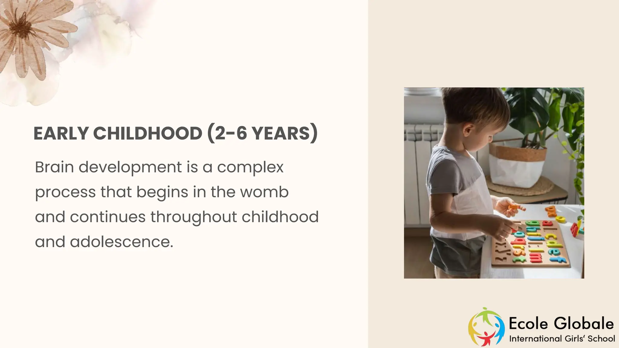 HOW A CHILD’S BRAIN DEVELOPS OVER THE YEARS.pptx