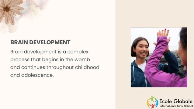 HOW A CHILD’S BRAIN DEVELOPS OVER THE YEARS.pptx