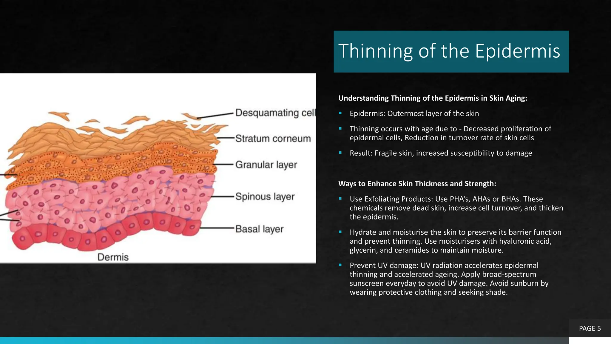 How Ageing Affects the Skin powerpoint.pptx