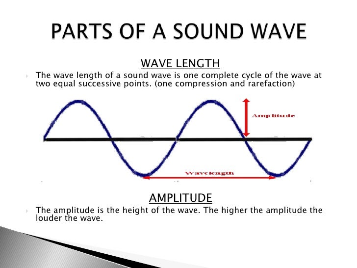 How A Guitar Works How A Guitar Works