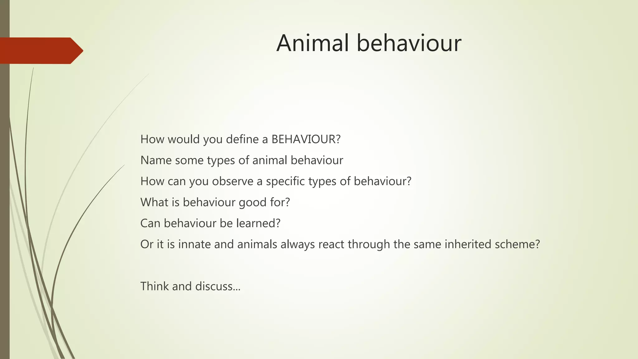 How animals behave | PPTX | Birdwatching | Hobbies & Interests