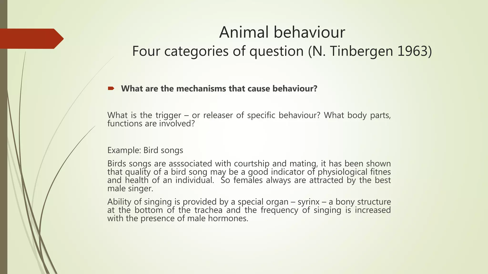 How animals behave | PPTX | Birdwatching | Hobbies & Interests