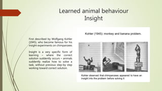 How animals behave | PPT