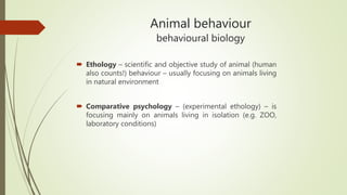 How animals behave | PPTX | Birdwatching | Hobbies & Interests