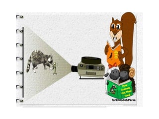 How animals get their food 1-2 | PPTX