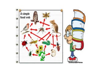 How animals get their food 14 | PPTX