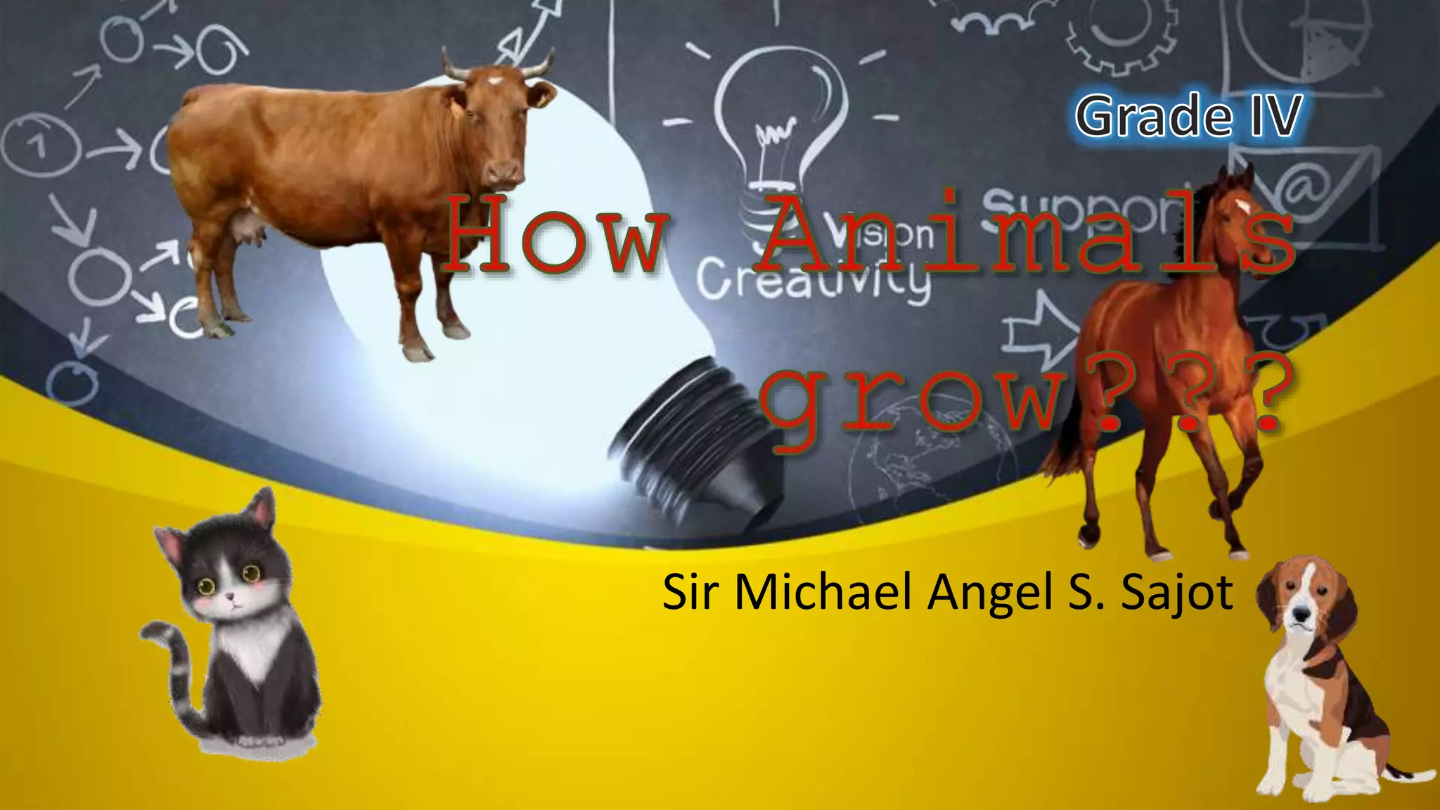 How animals grow | PPT