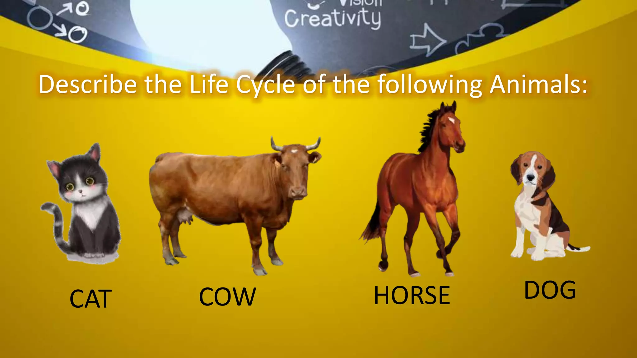 How animals grow | PPTX