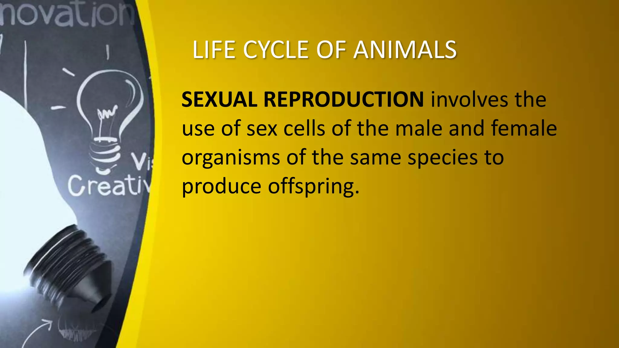 How animals grow | PPTX