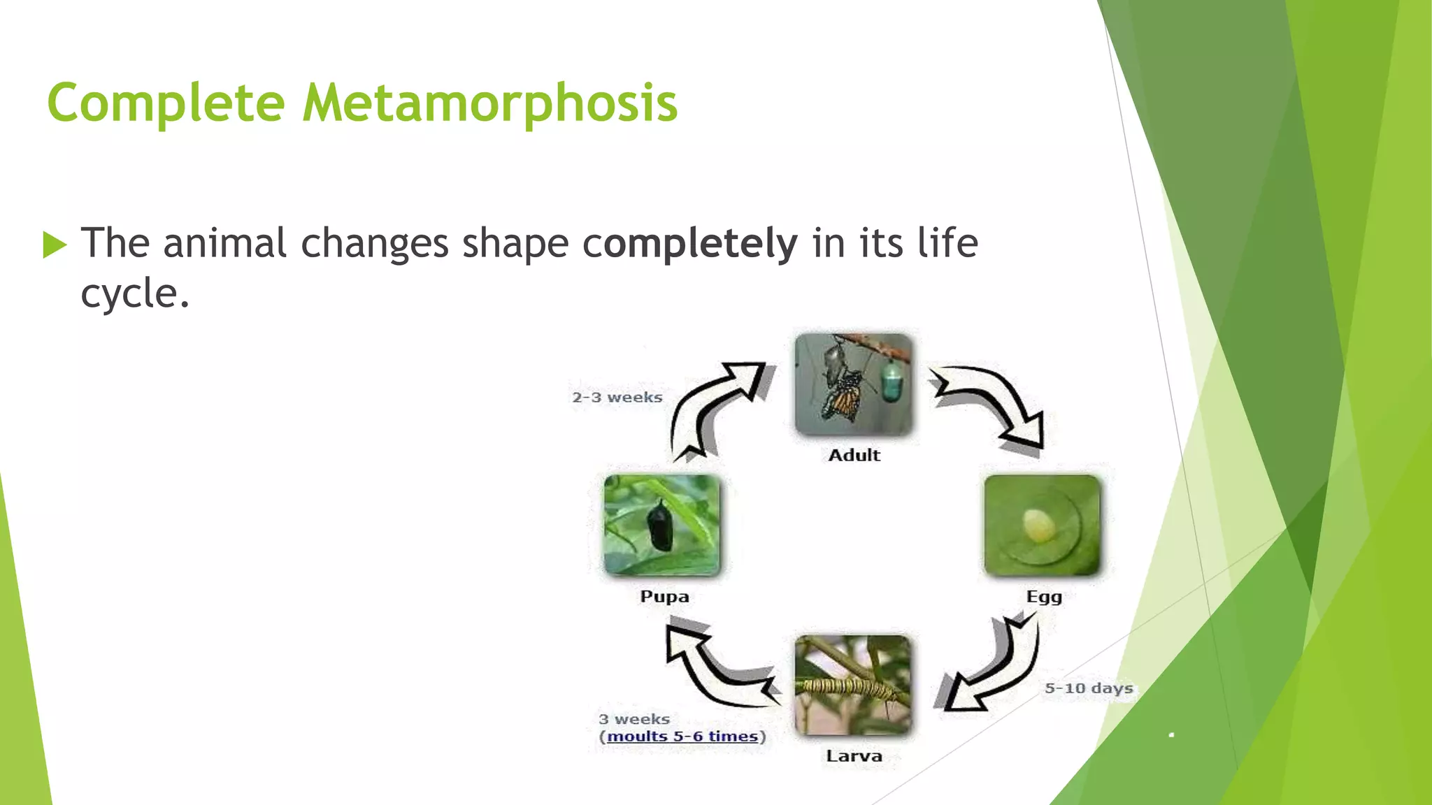 How animals grow and change wiki final | PPTX