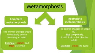 How animals grow and change wiki final | PPTX