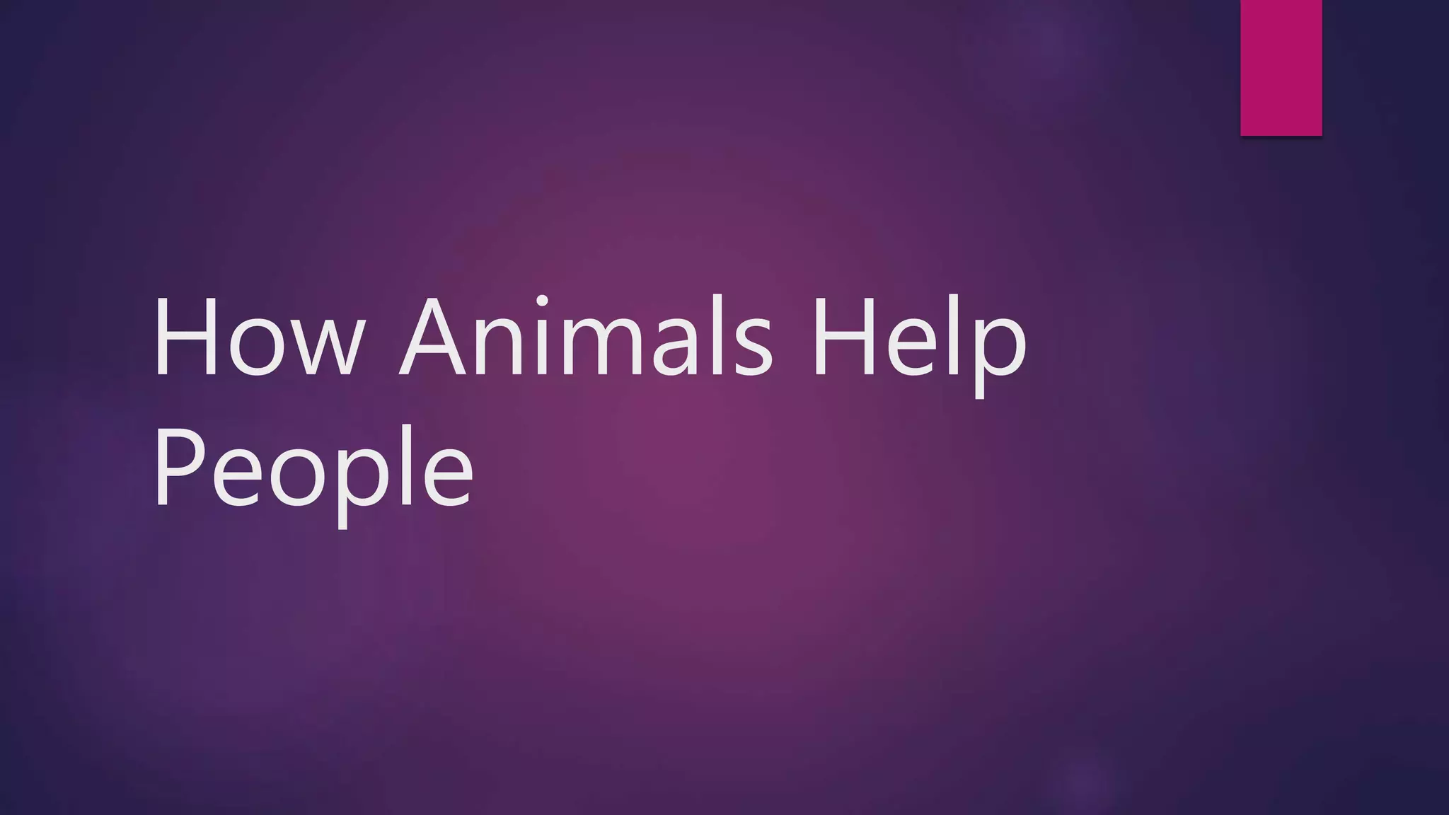 How animals help people | PPTX