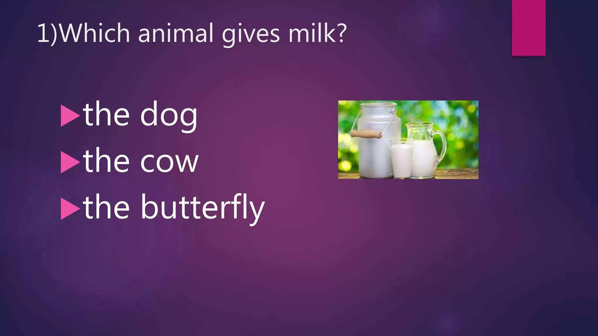 How animals help people | PPT