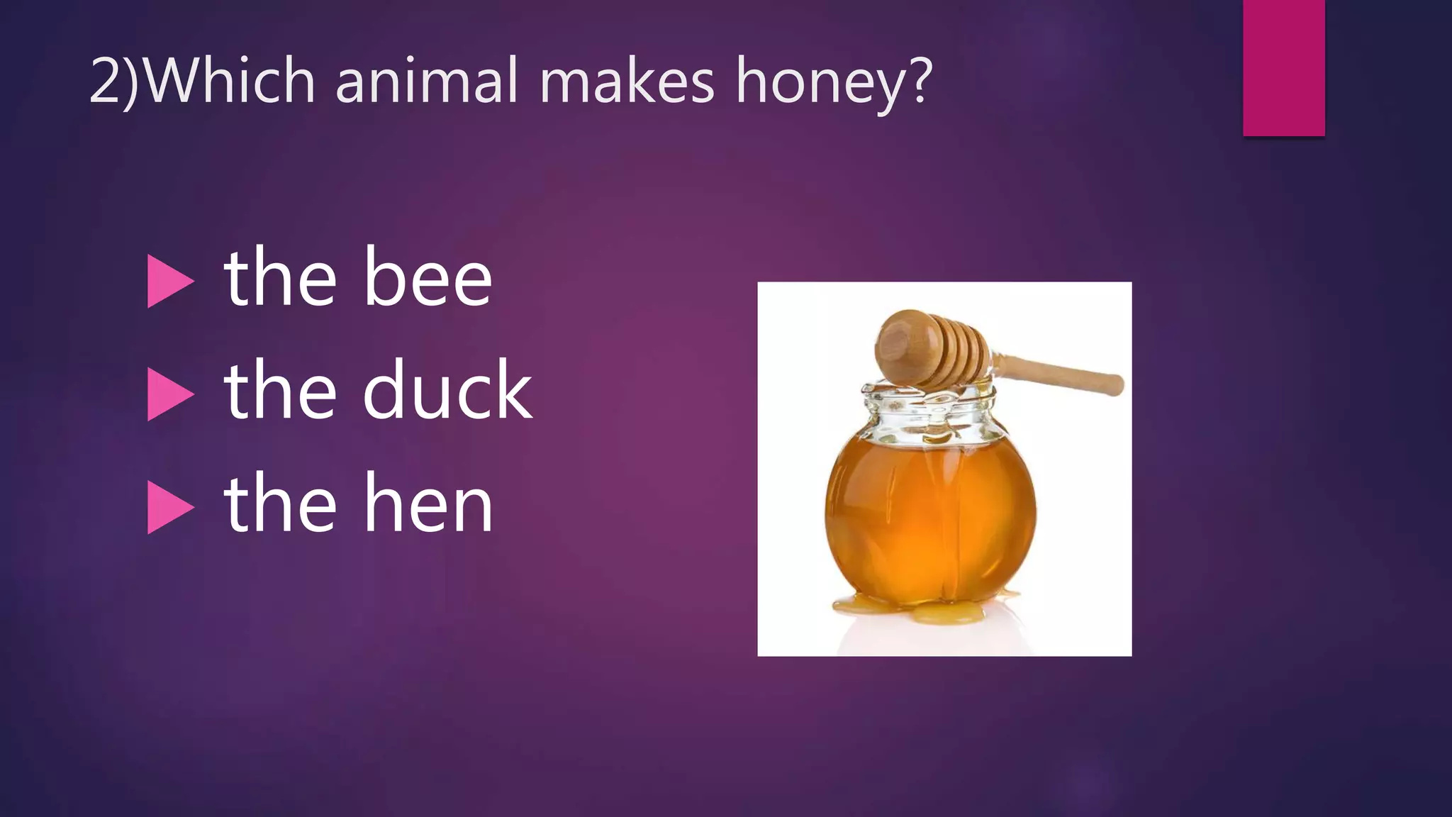 How animals help people | PPT