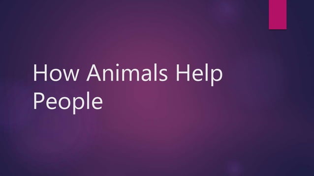How animals help people | PPT