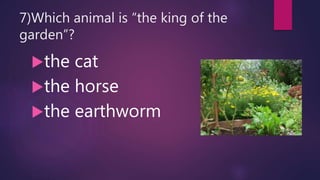 How animals help people | PPT