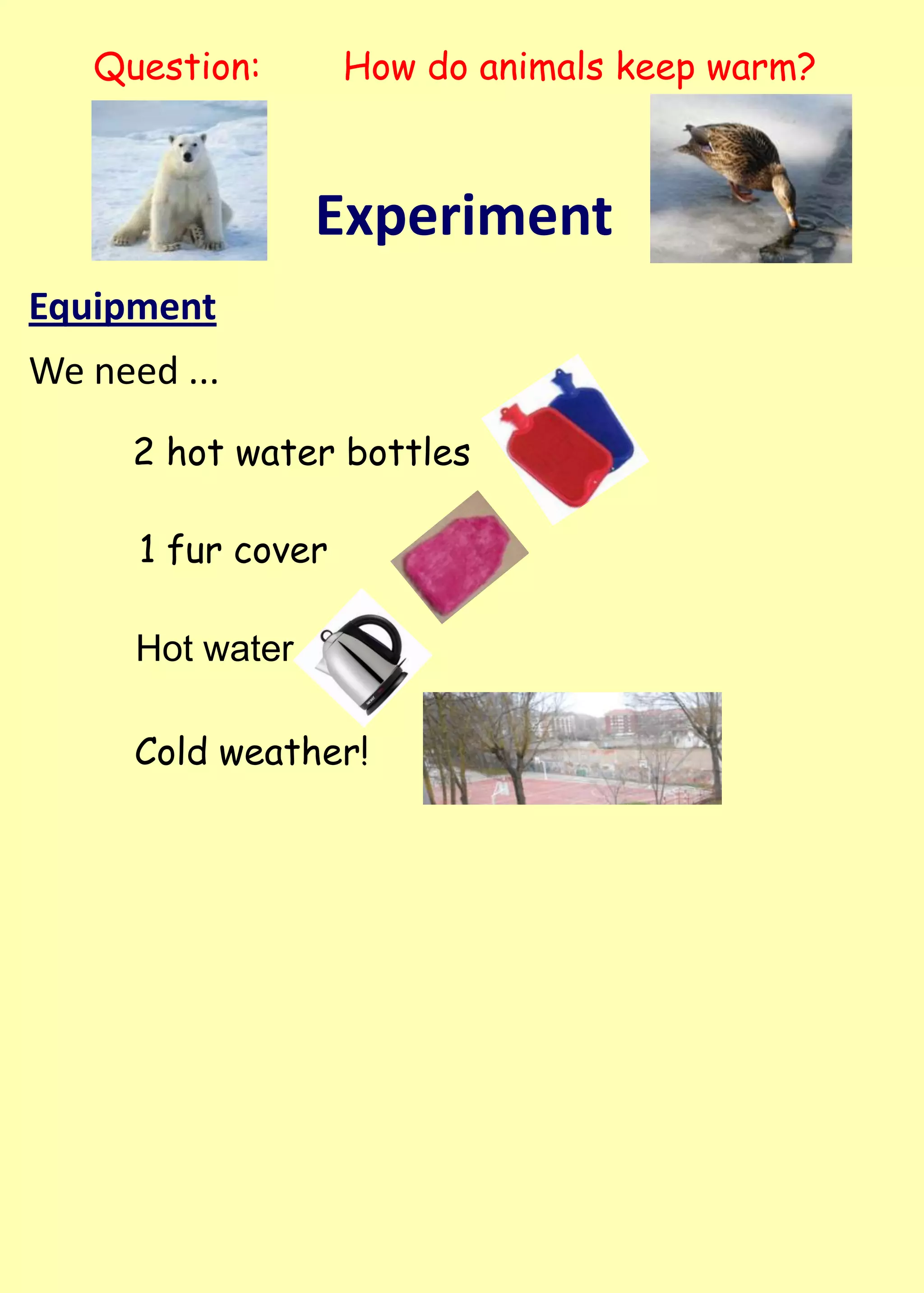 How animals keep_warm_kah | PPTX