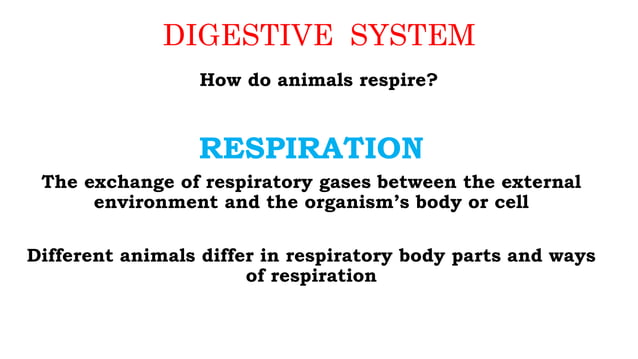 HOW ANIMALS SURVIVE.pptx | Lung and Respiratory Health | Diseases and ...