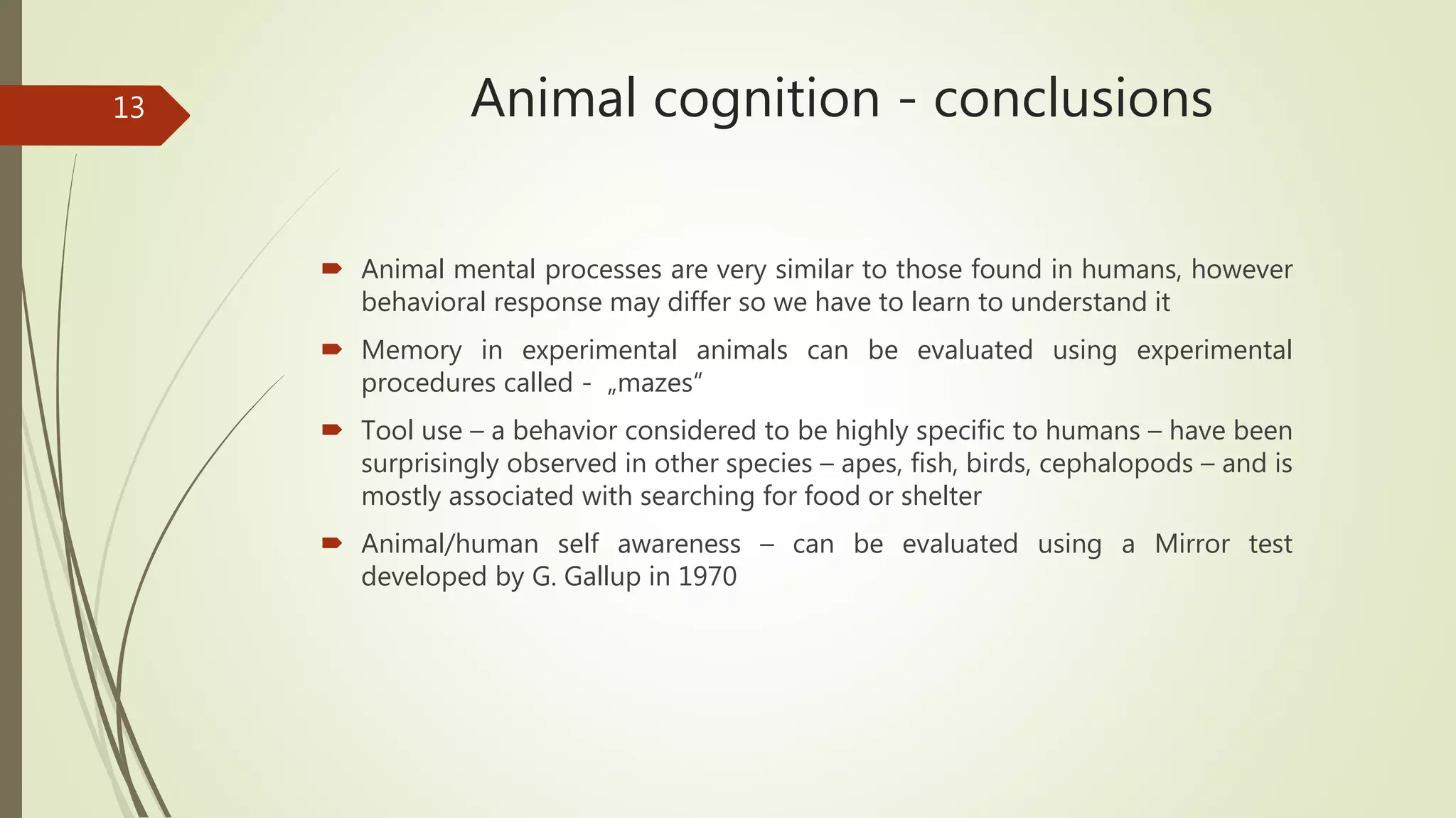 How animals think | PPT