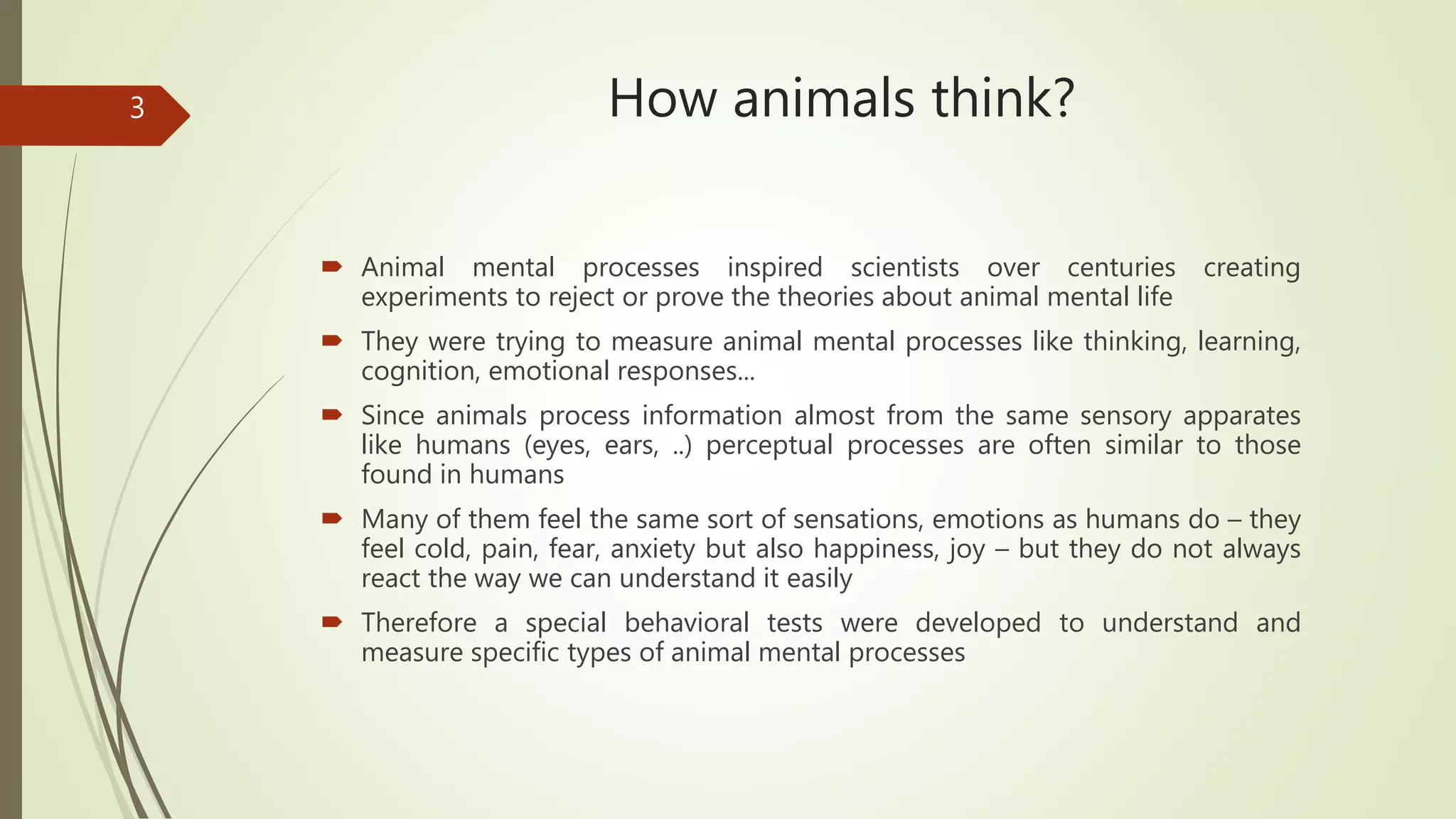 How animals think | PPT