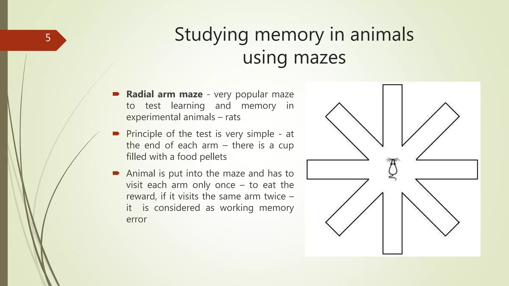 How animals think | PPT