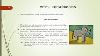 How animals think | PPT
