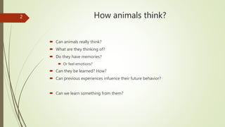 How animals think | PPT