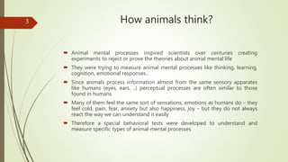 How animals think | PPT