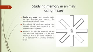 How animals think | PPT