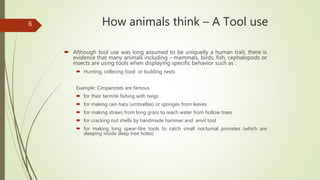How animals think | PPT