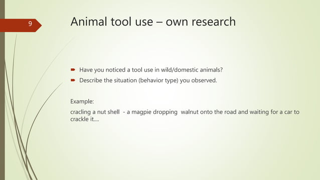 How animals think | PPT