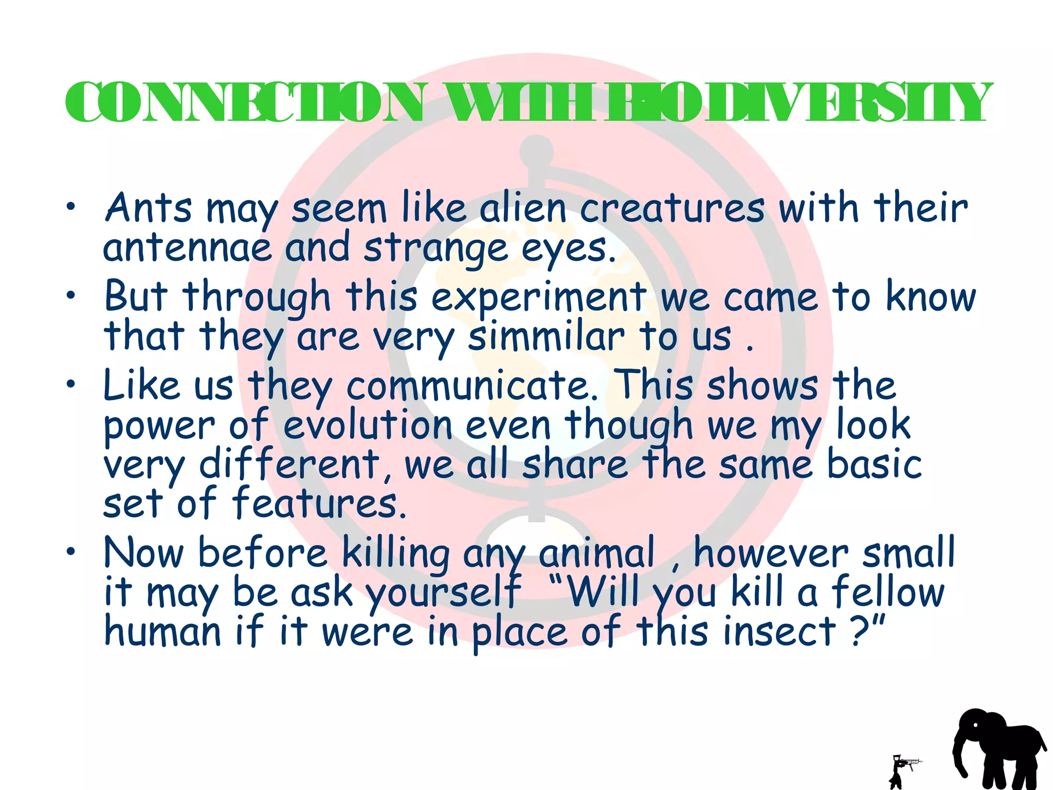 How ants communicate. | PPT