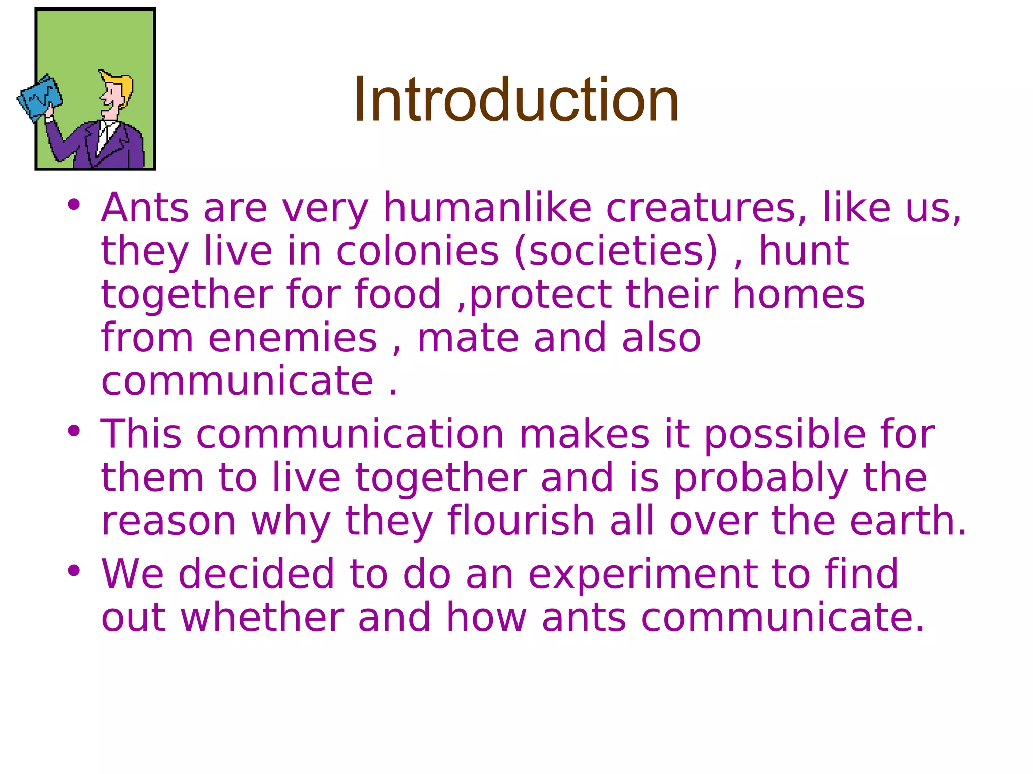 How ants communicate. | PPT