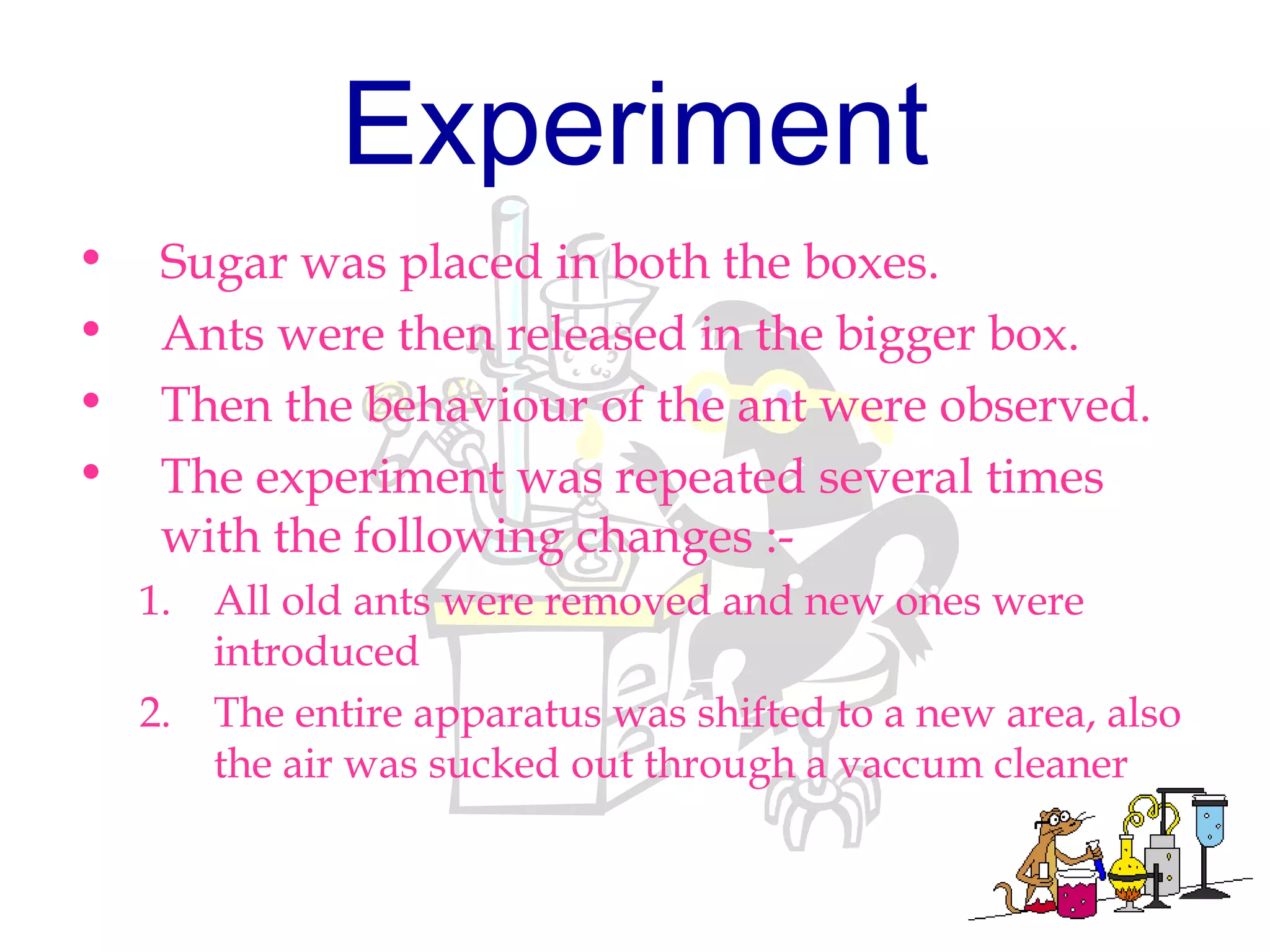 How ants communicate. | PPT